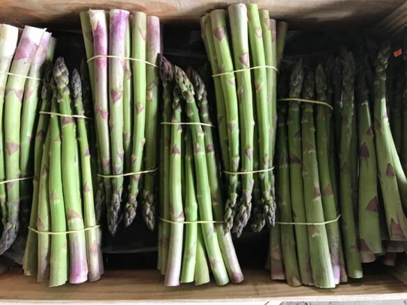 Comment cuisiner les asperges blanches : guide complet pour préparer et ...