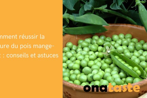 Les bienfaits de la blette : découvrez ses vertus nutritionnelles et ...