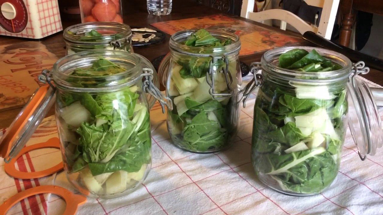 Les bienfaits et recettes savoureuses des feuilles vertes de blettes ...