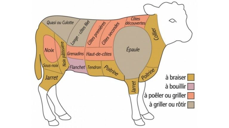 Quelle est la partie du tendron de veau ? - Tout ce que vous devez ...