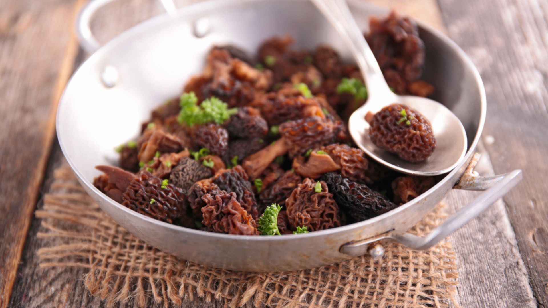 Comment bien préparer et déguster les morilles : conseils d'expert — OnaTaste France: Magazine N ...