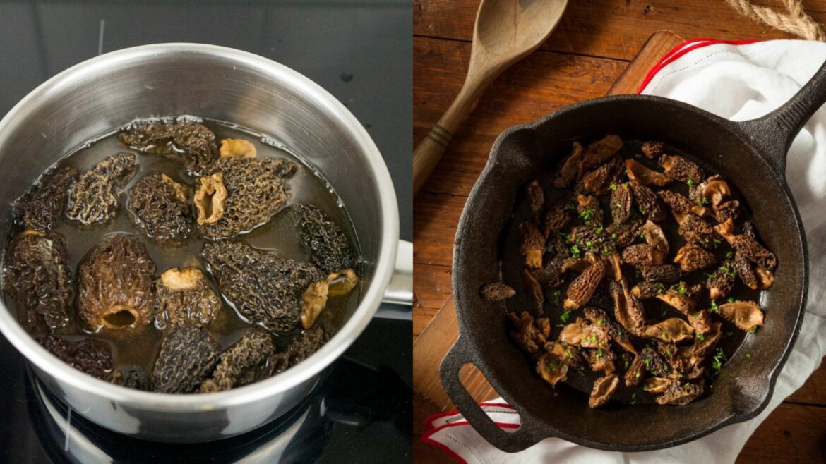 Comment cuisiner les morilles : astuces et recettes pour savourer ce ...