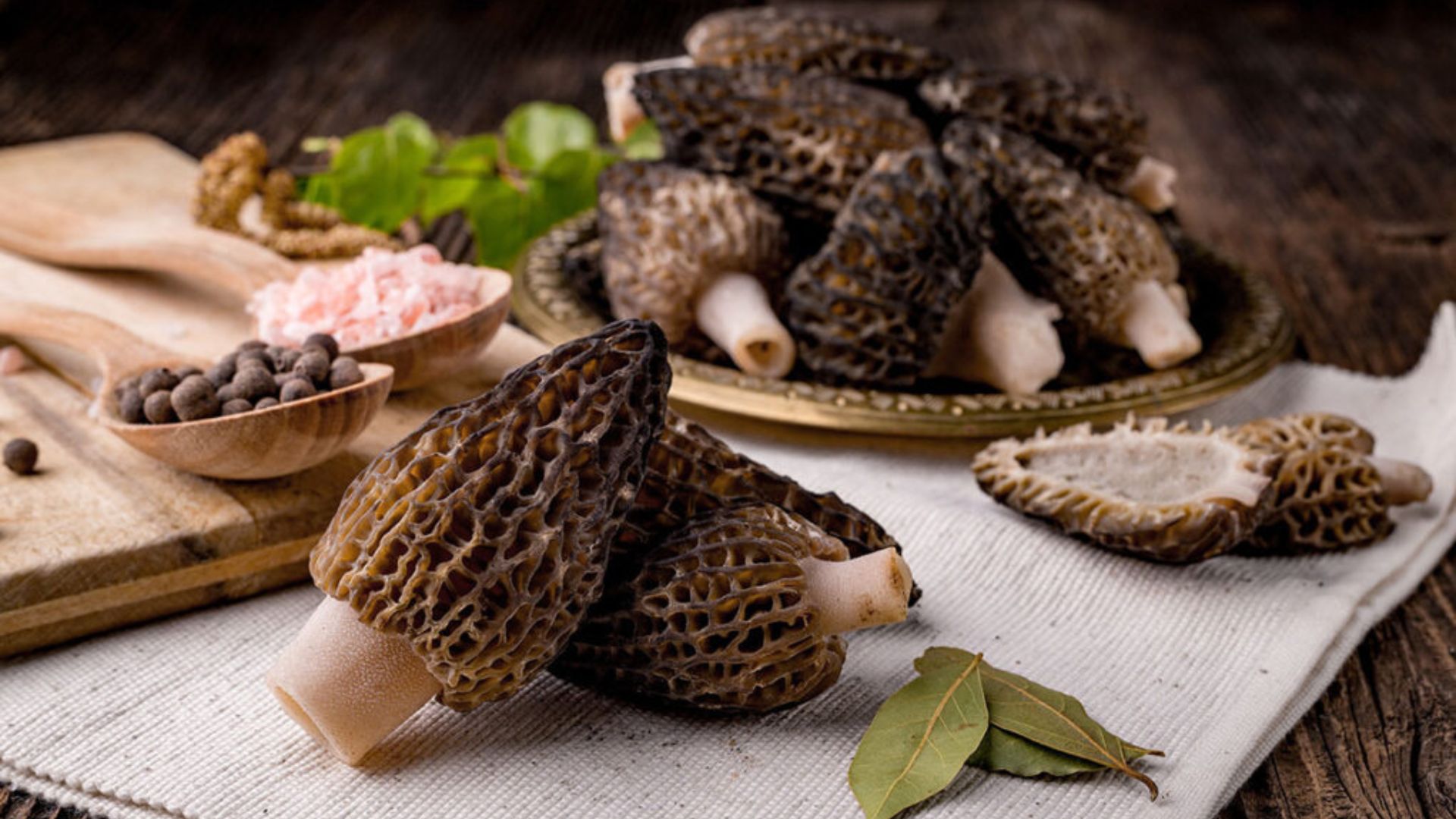 Comment cuisiner les morilles : astuces et recettes pour une cuisson ...