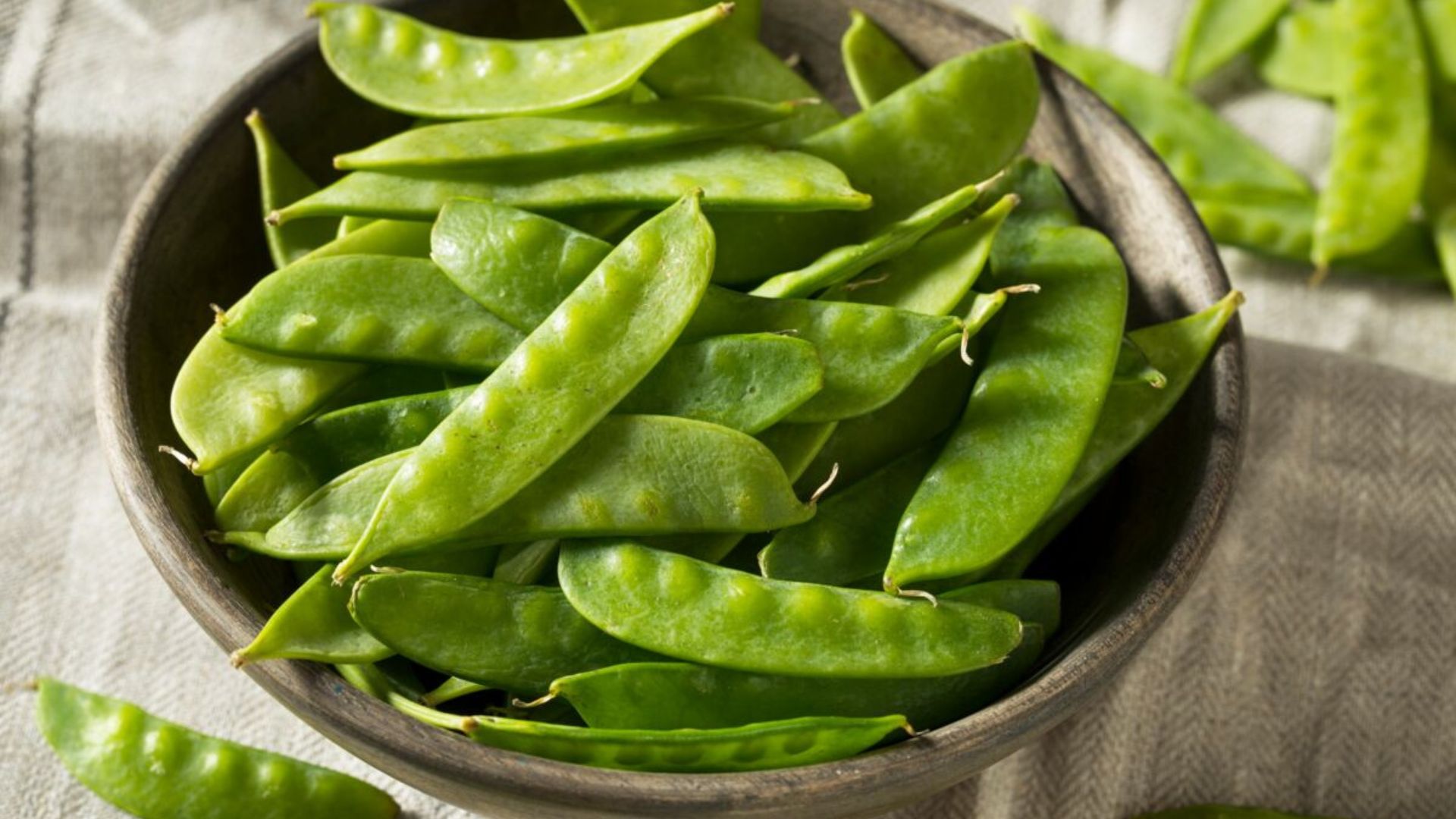 Quelle est la différence entre le petit pois et le pois gourmand ...