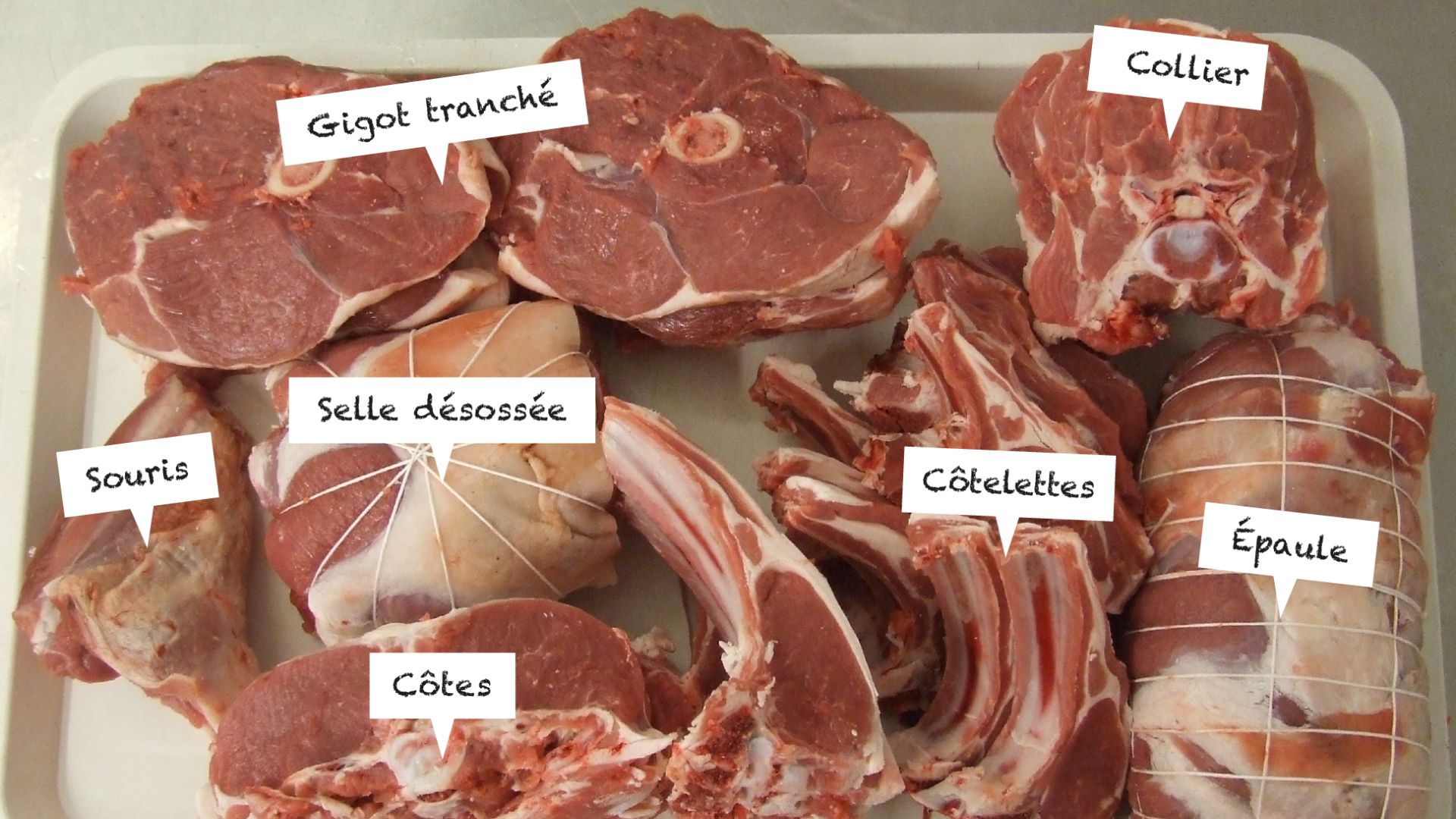 Quelle est la différence entre un gigot d'agneau et une épaule d'agneau ...